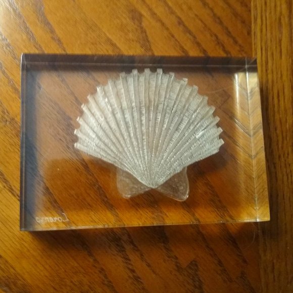 Office | 3d Laser Etched Paperweight Of A Sea Shell | Poshmark